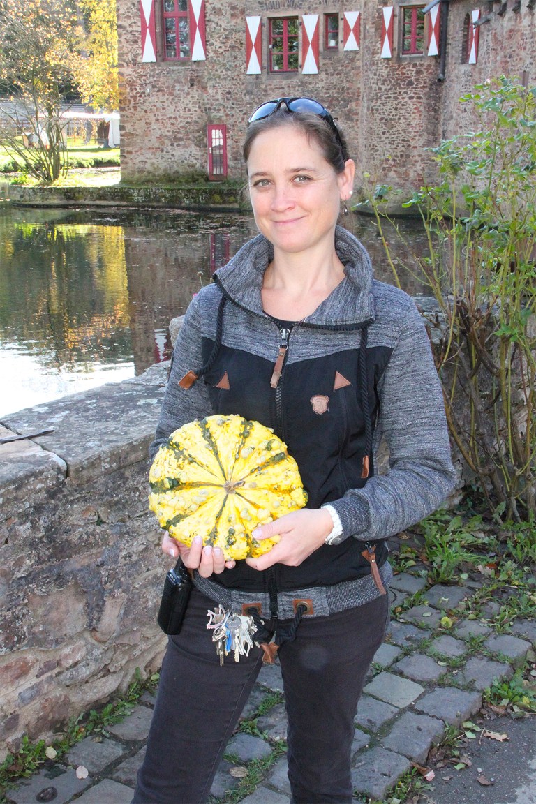 Eine Burg und ein Dorf